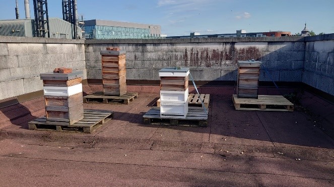 NHS England — North West » Case study – Bee Hives