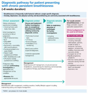 NHS England » Adult breathlessness pathway (pre-diagnosis): diagnostic ...