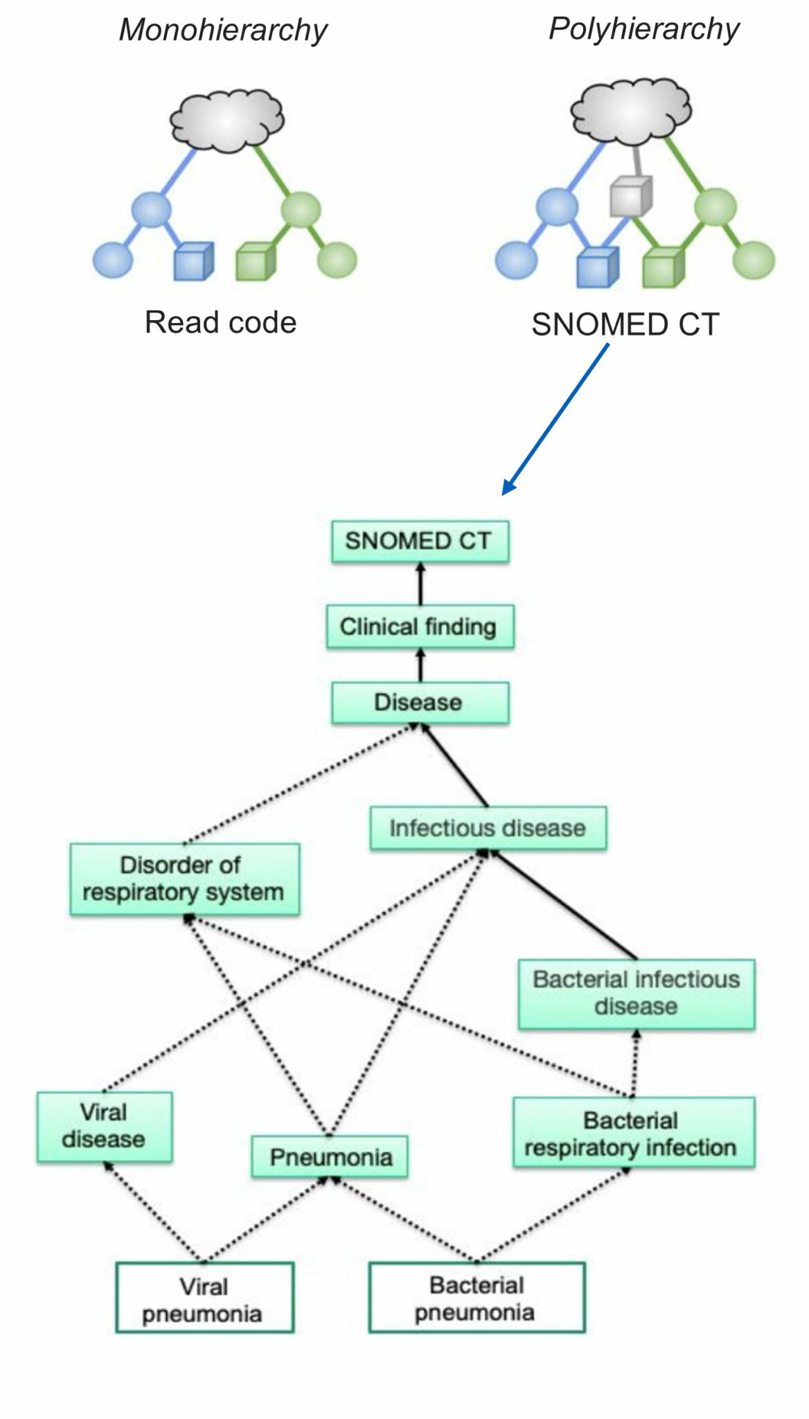 NHS England » Clinical coding – SNOMED CT