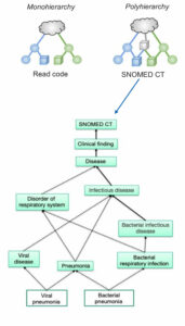 NHS England » Clinical coding – SNOMED CT