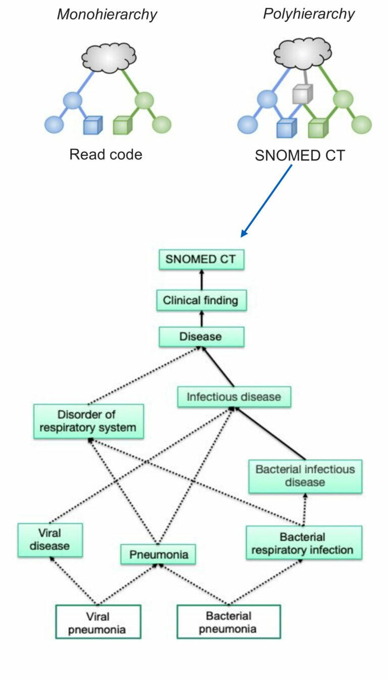 NHS England » Clinical coding – SNOMED CT