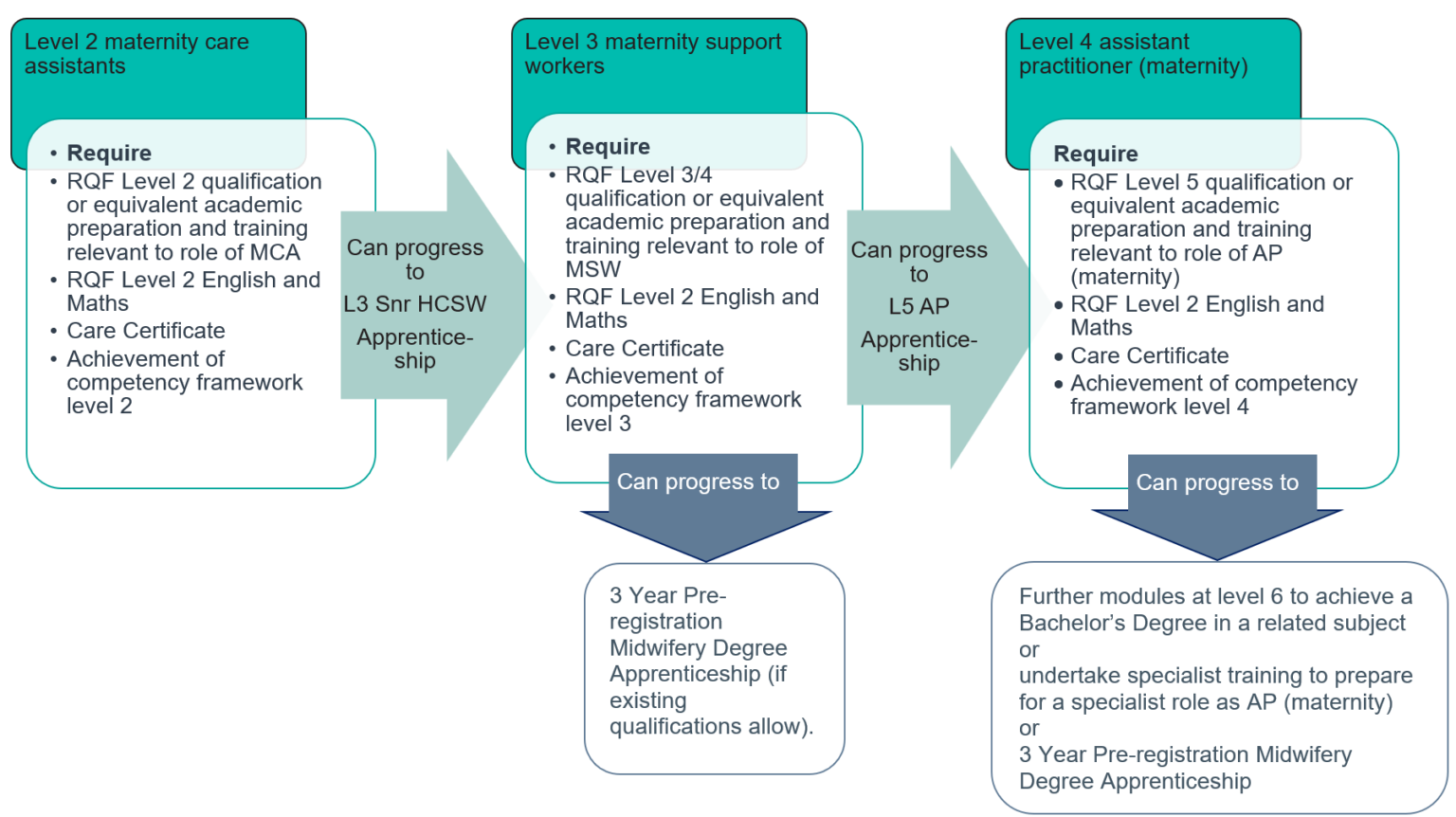 NHS England » Maternity support worker competency, education and career ...