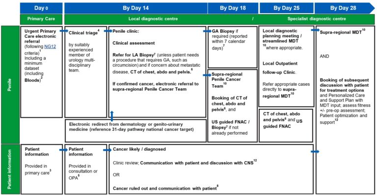 NHS England » Implementing timed urology cancer diagnostic pathway ...