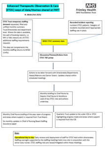 NHS England » Enhanced therapeutic observation and care: A guide to improving data collection ...