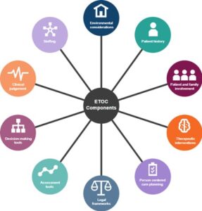 NHS England » Enhanced therapeutic observation and care: developing a ...
