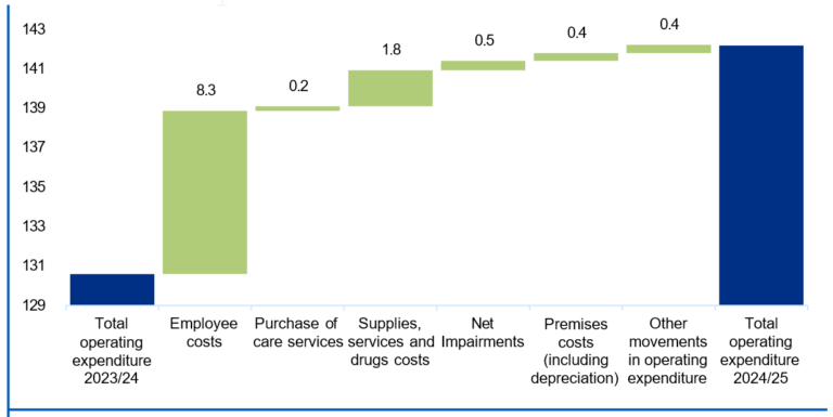 NHS England » Consolidated NHS provider accounts 2024/25